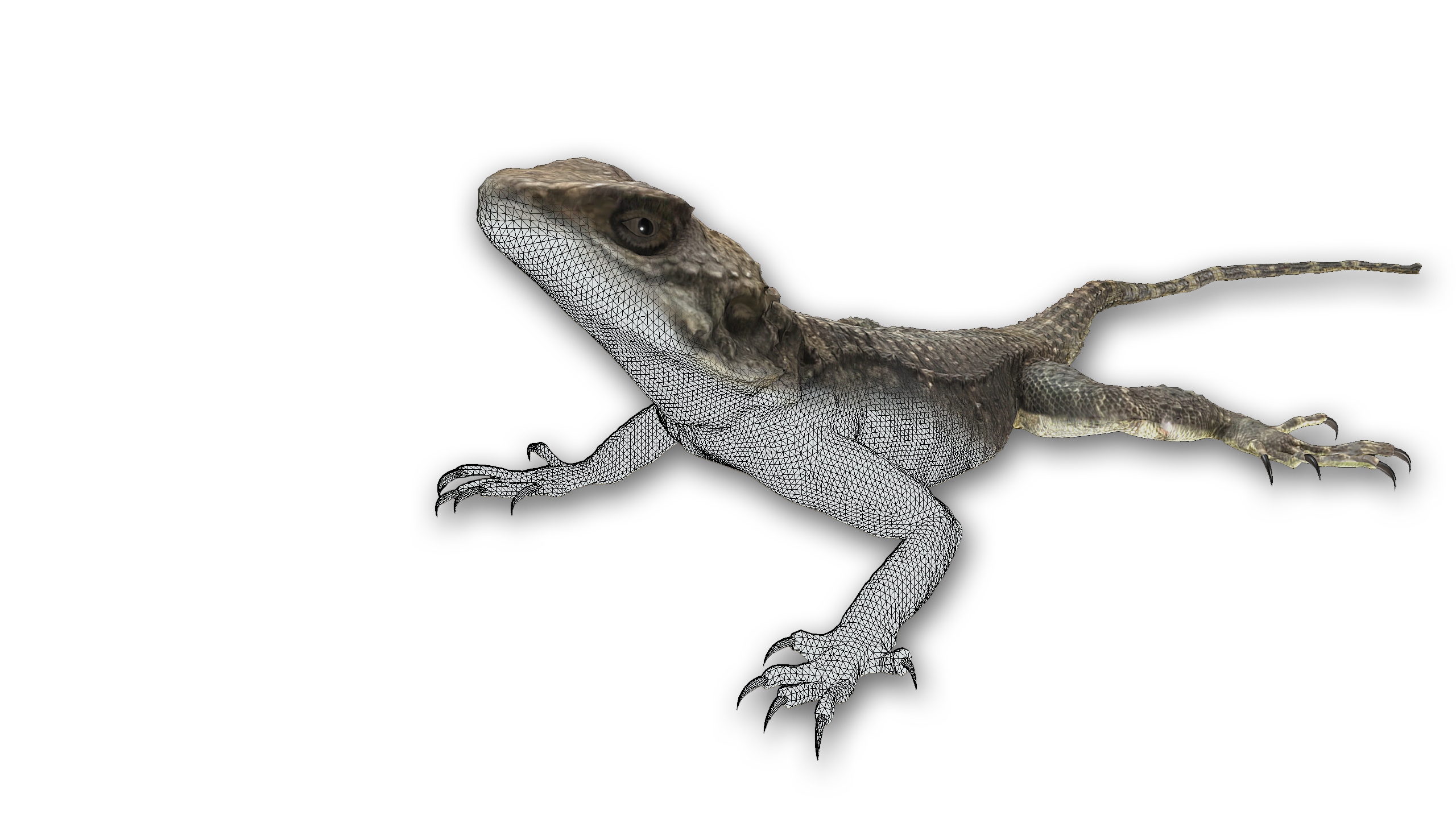 3D Reptiles Homepage